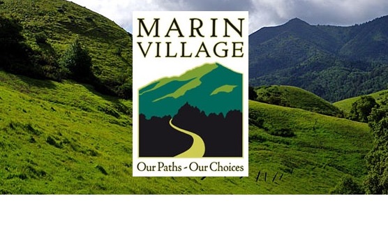 San Rafael Public Library - Marin Village-03-20-15